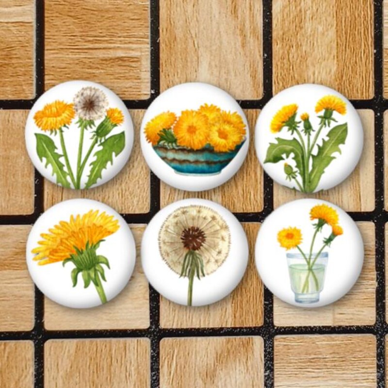 Dandelion Gifts - 60+ Gift Ideas for 2025