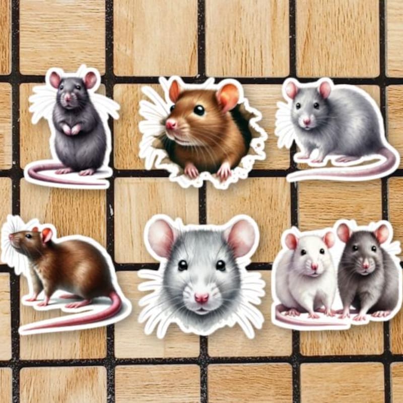 Rat Stickers - Etsy