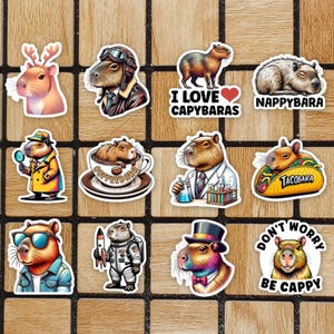 Capybara Sticker Pack of 12 Cute Capybara Stickers Vinyl - Capybara ...