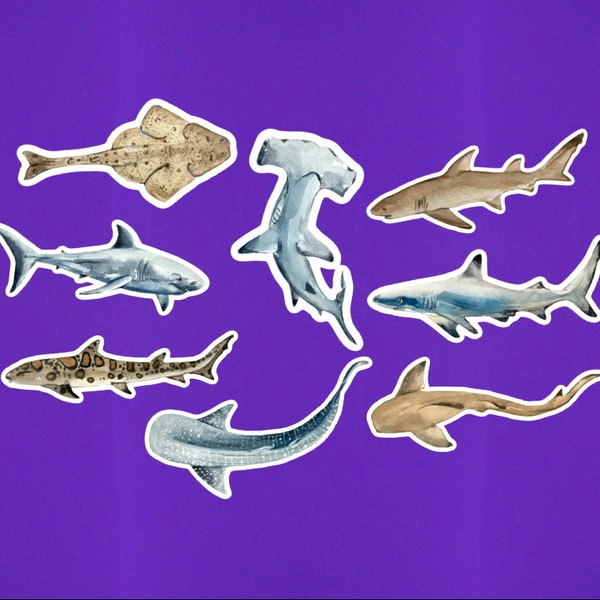 Shark Stickers - Etsy