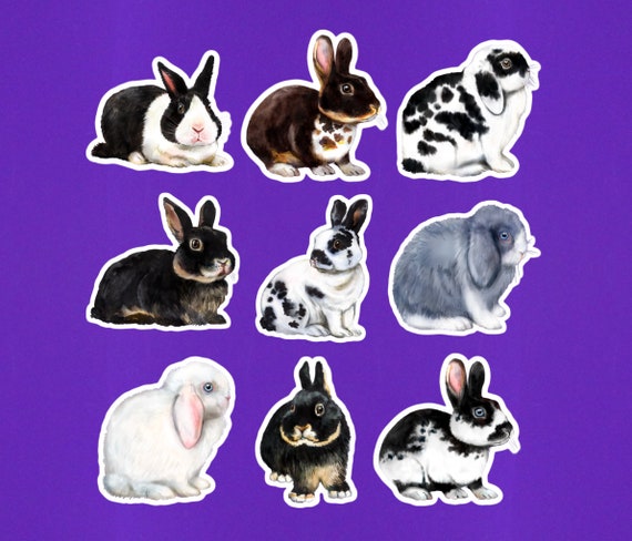 Cute Rabbit Sticker Pack Set of 9 Mini Stickers 2 on | Etsy