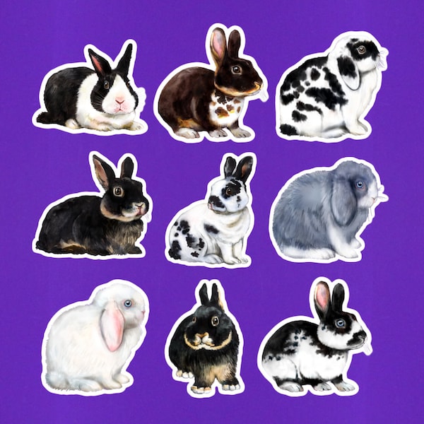 Gifts for Bunny Lovers - 60+ Gift Ideas for 2024