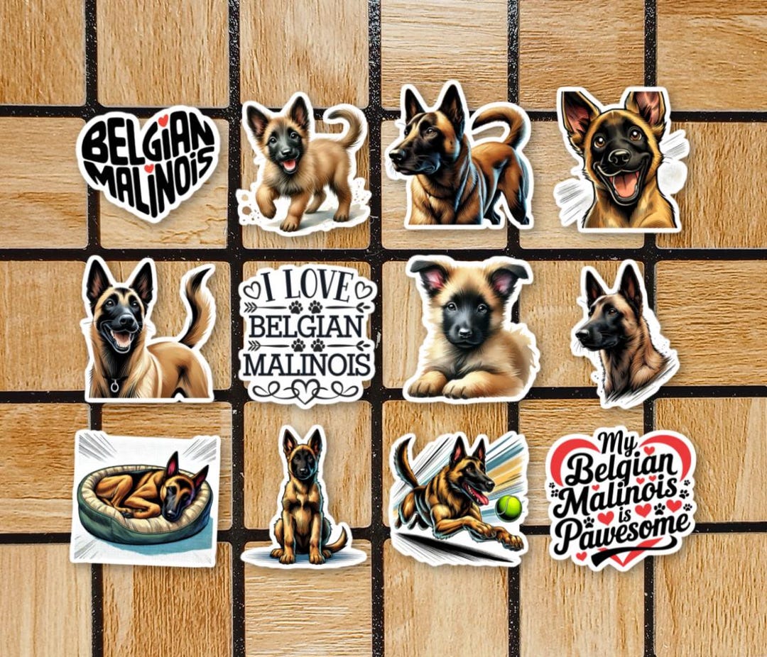 Set of 12 Belgian Malinois Dog Stickers - Cute Dog Sticker Pack ...