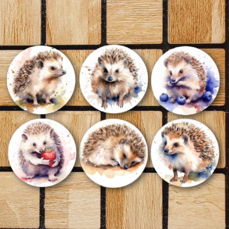 Hedgehog Accessories - Etsy
