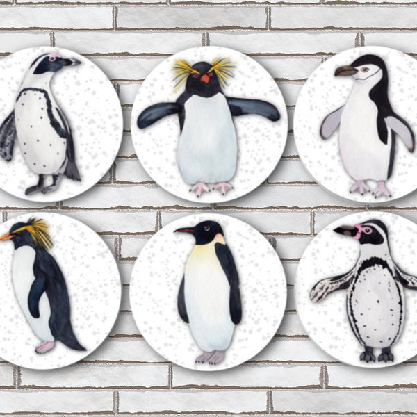 Penguin Buttons - Etsy