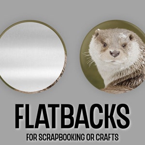 Set of 6 Otter Themed 1.25" Pinback Buttons, Magnets Cute Otter Gifts I ...