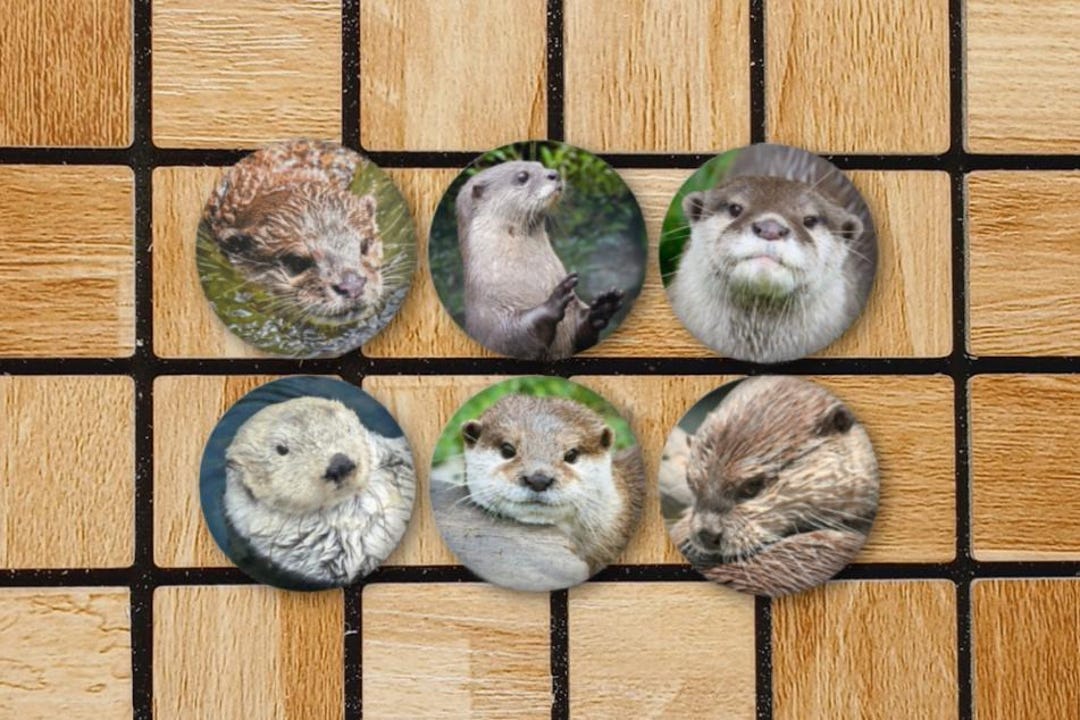 Set of 6 Otter Themed 1.25" Fridge Magnets, Pinback Buttons or ...