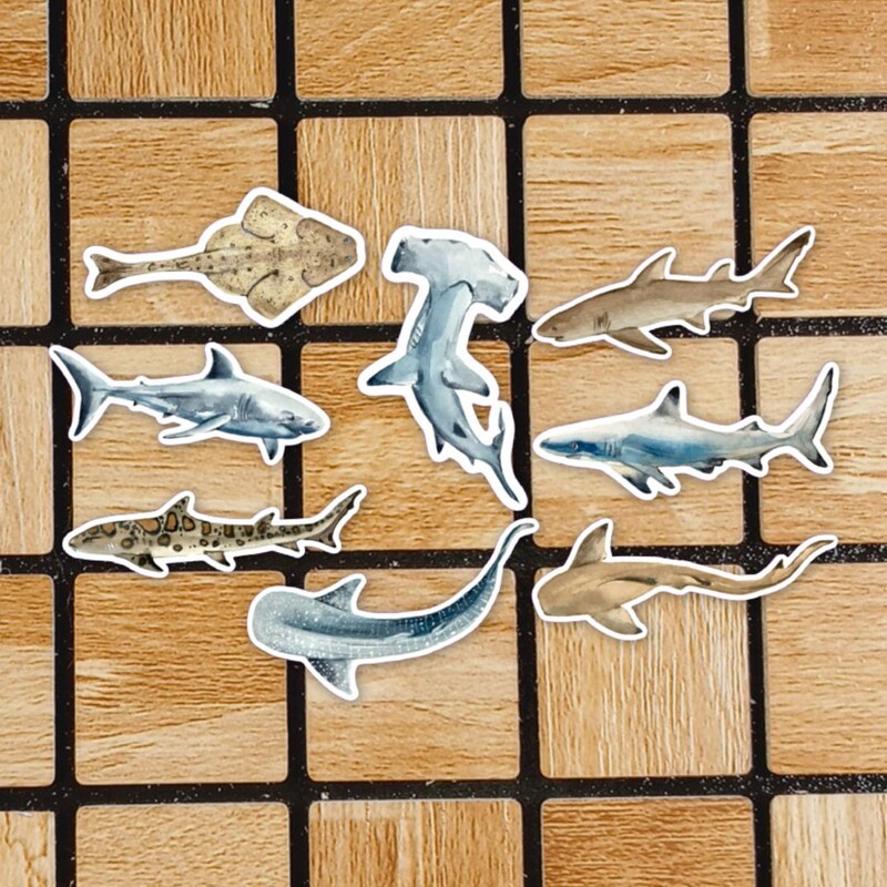Shark Stickers - Etsy