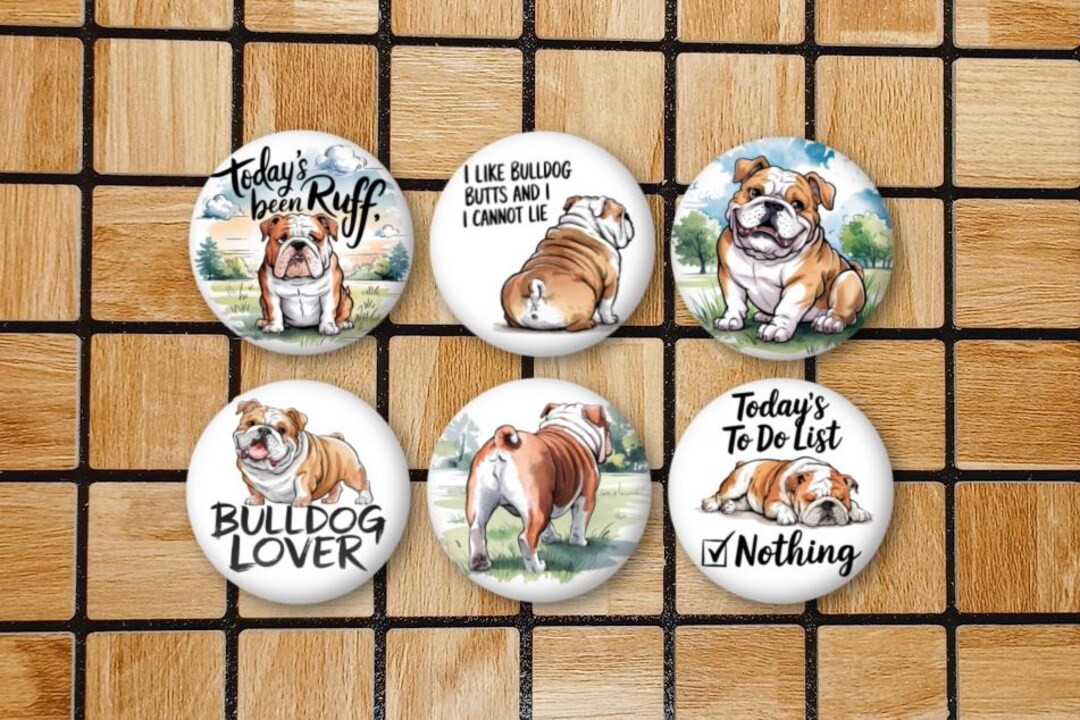 Set of 6 English Bulldog Magnets or Pinback Button Pins or Flatbacks ...
