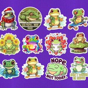 Set of 12 Funny Frog Stickers 2 Die Cut Sticker Pack - Etsy
