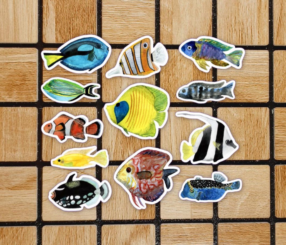 Set of 12 Watercolor Tropical Fish Stickers 2" on Their Longest Side ...