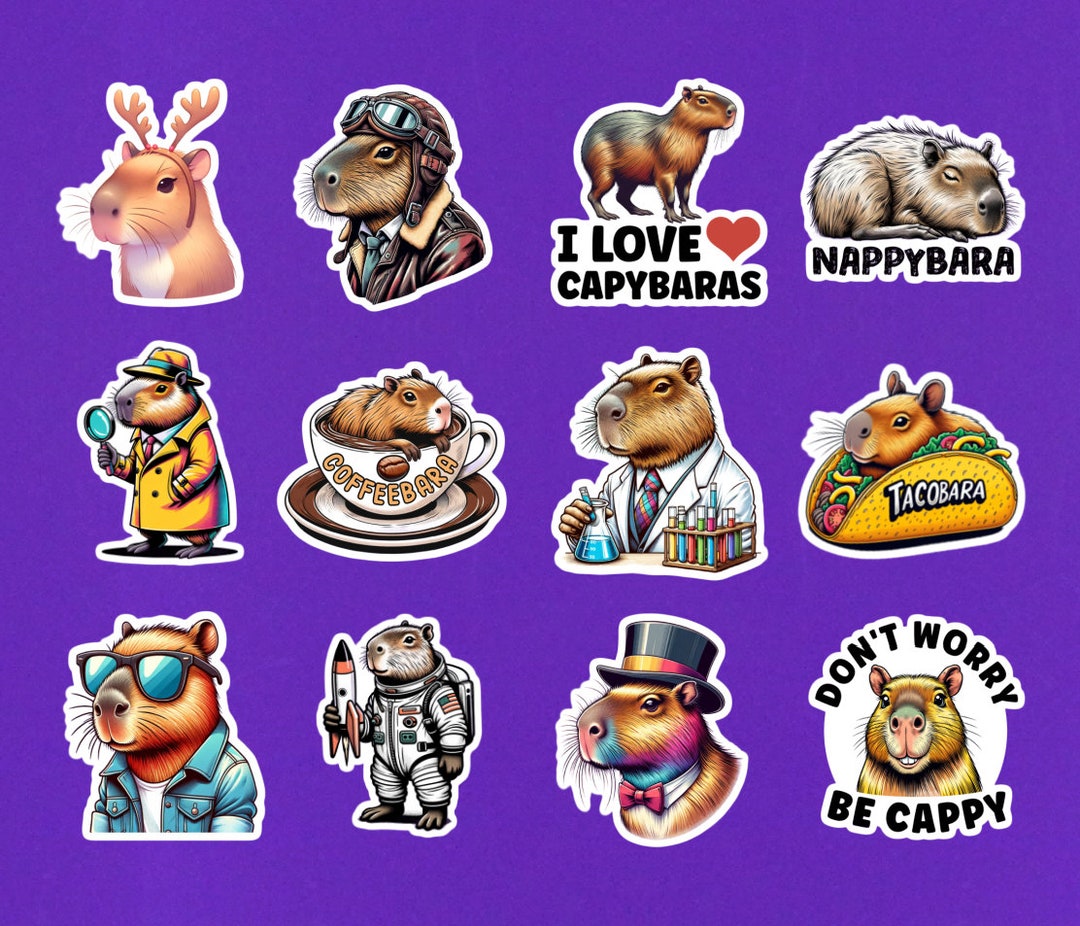Capybara Sticker Pack of 12 Cute Capybara Stickers Capybara - Etsy