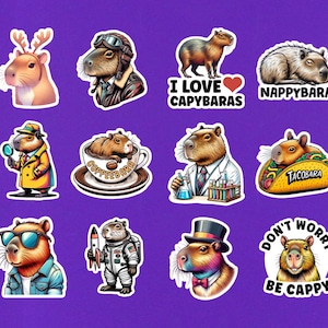 Capybara Sticker Pack of 12 Cute Capybara Stickers Capybara - Etsy