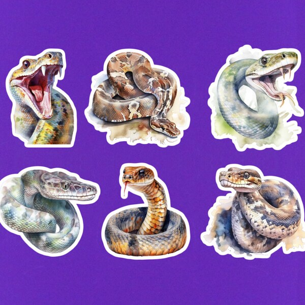 Snake Sticker - Etsy Canada