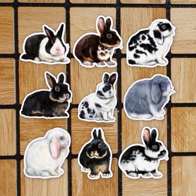 Cute Bunny Rabbit - Etsy