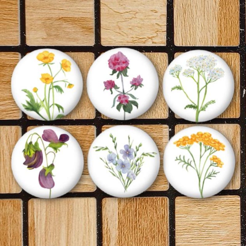 Cute Fridge Magnets - Etsy