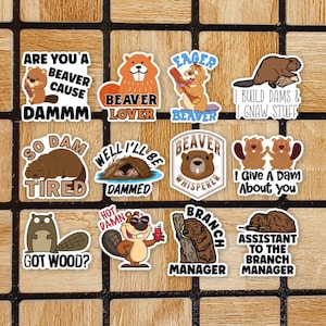 Set of 12 Funny Beaver Stickers Approx 2" on Longest Side Beaver Gift ...