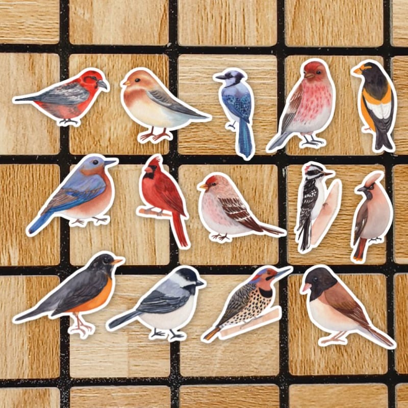 Bird Stickers - Etsy