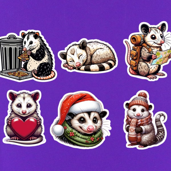 Opossum Stickers - Etsy
