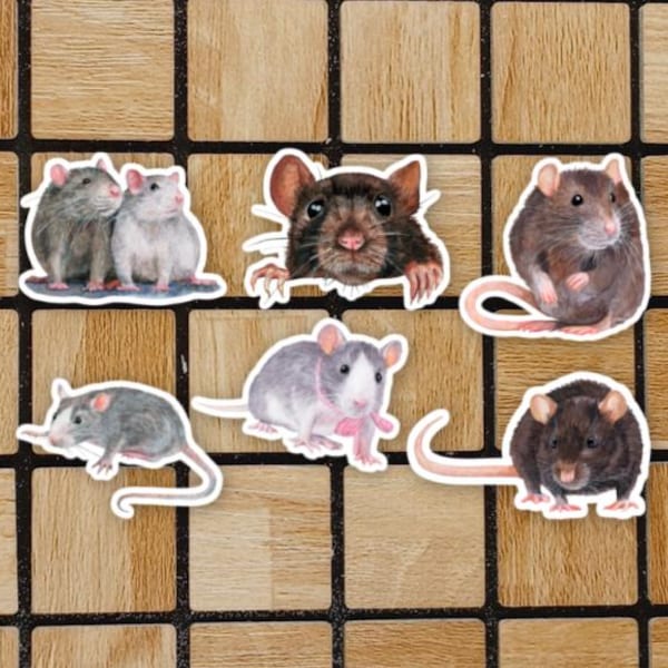 Rat Sticker - Etsy