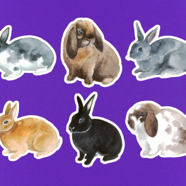 Rabbit - Etsy Canada