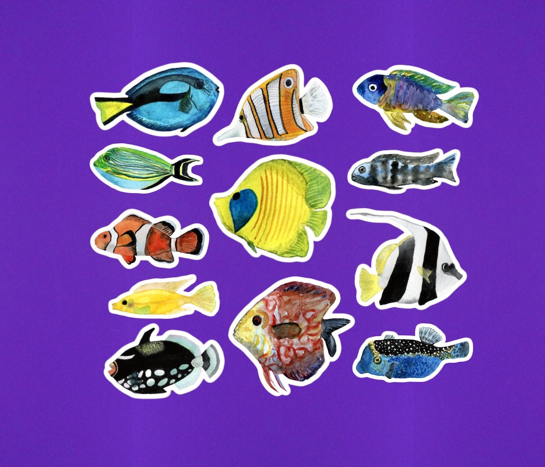 Set of 12 Watercolor Tropical Fish Stickers 2 on Their Longest Side Die ...