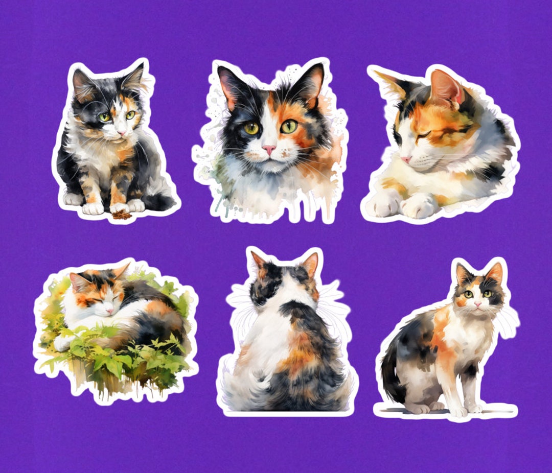 Watercolor Calico Cat Sticker Pack Set of 6 3 Die - Etsy
