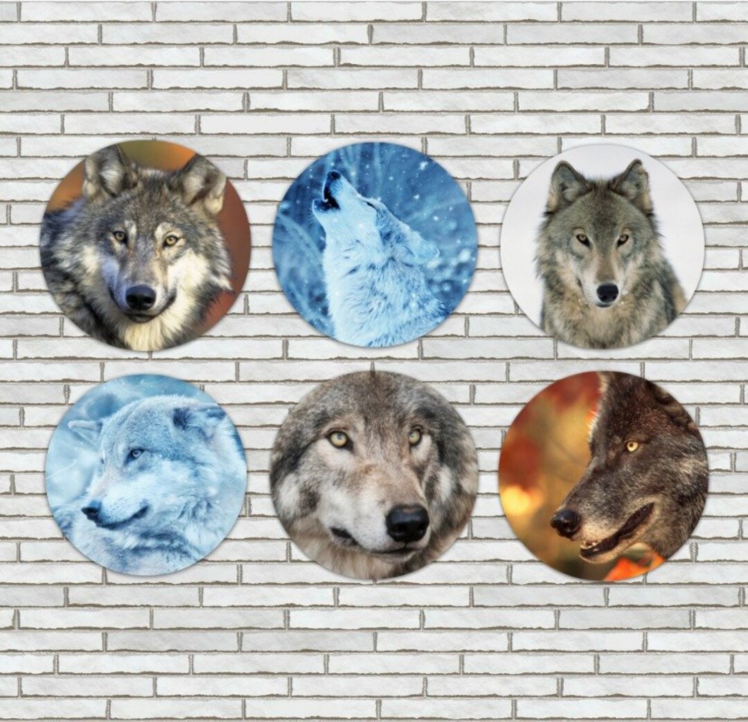 Set of 6 Wolf Wolves 1.25 Pinback Buttons Magnets or - Etsy