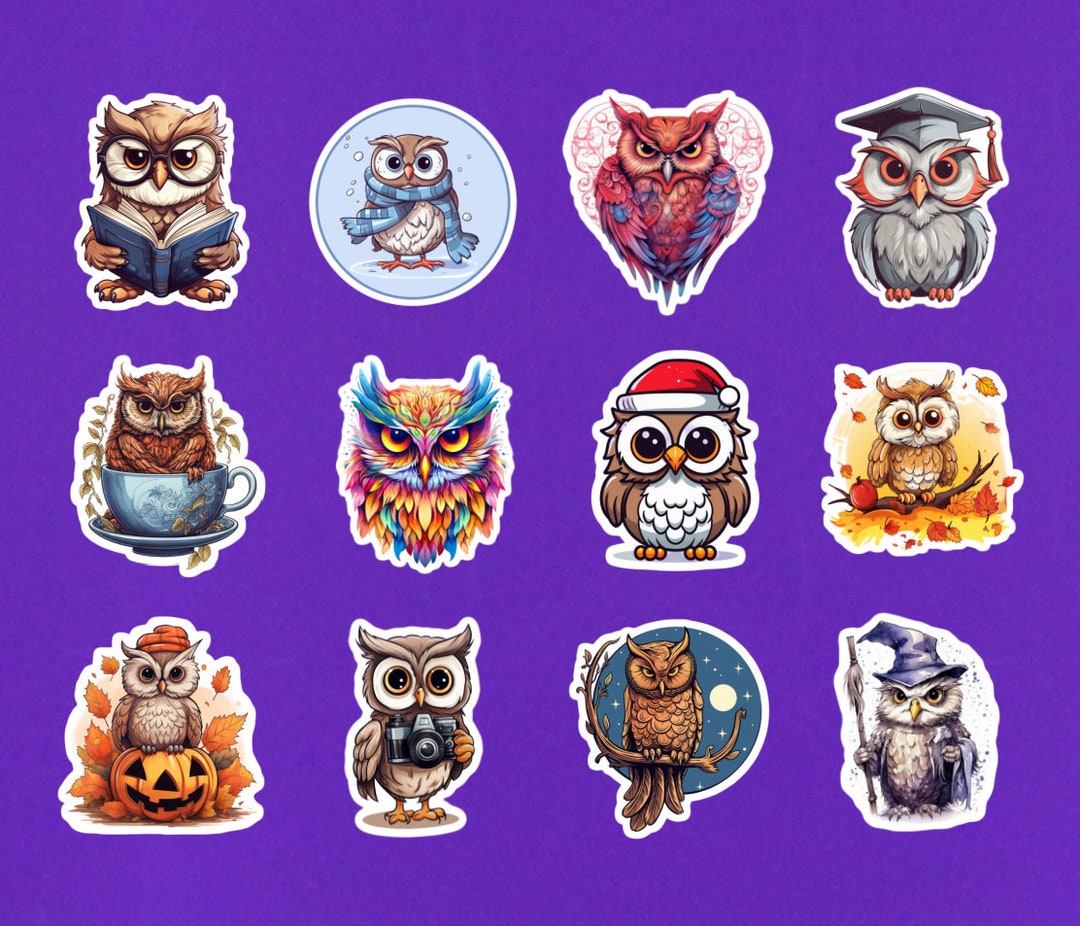 Set of 12 Cute Owl Stickers 2 Die Cut Owl Sticker Pack - Etsy