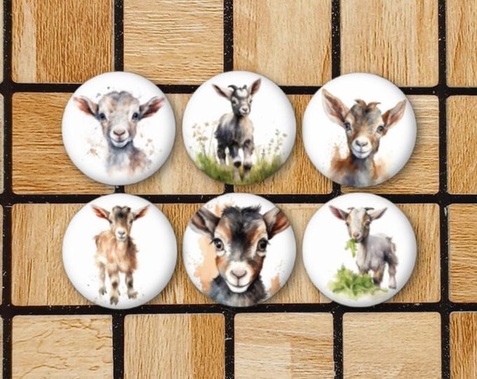 Set of 6 Baby Goat Fridge Magnets or Pinback Button Pins - 1.25" Size ...