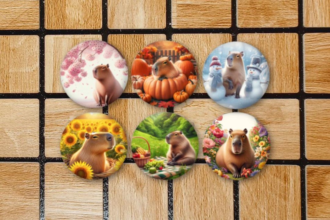 Set of 6 Capybara Fridge Magnets or Pinback Buttons - 1.25" - Cute ...
