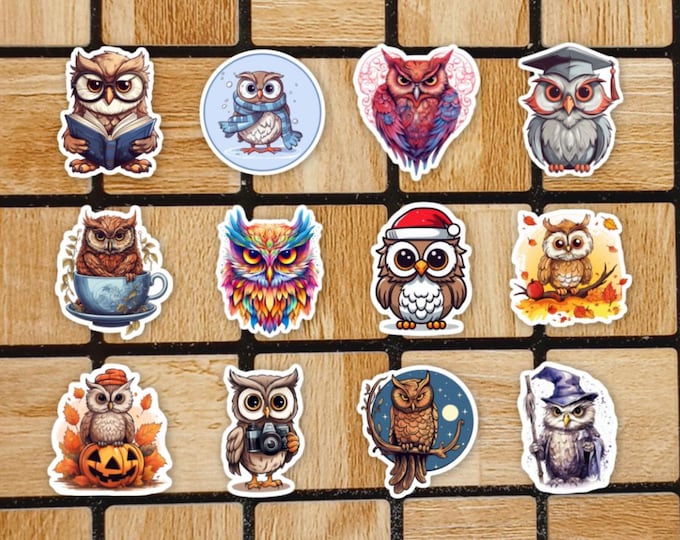 Set of 12 Cute Owl Stickers 2 Die Cut Owl Sticker Pack Cute Animal ...
