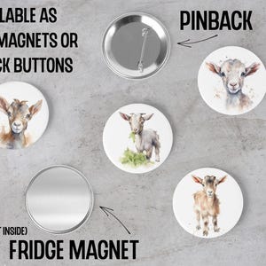 Set of 6 Baby Goat Fridge Magnets or Pinback Button Pins - 1.25" Size ...
