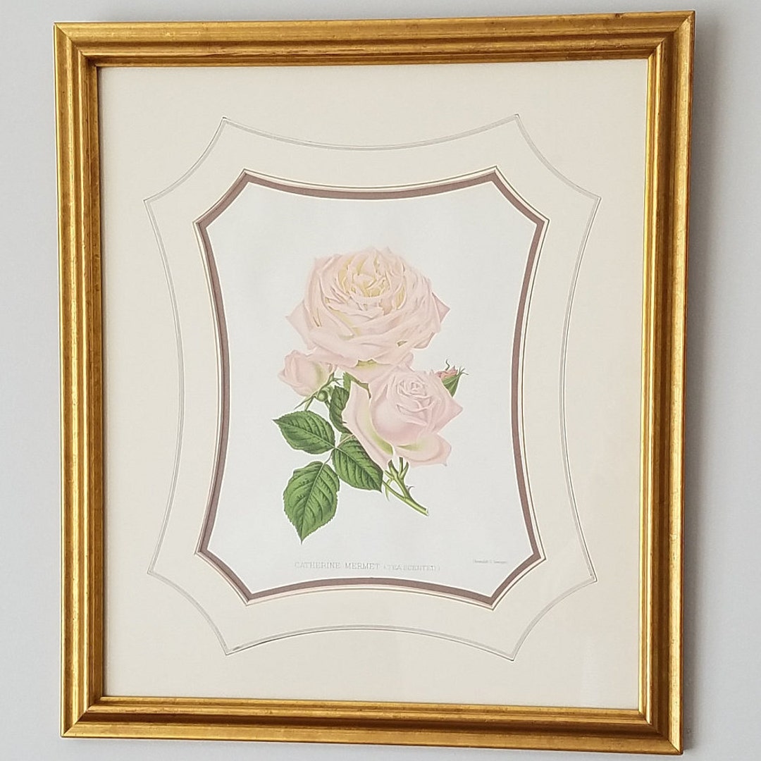 Antique Catherine Mermet Rose Print – 1888 Chromolithograph, Gold Frame ...