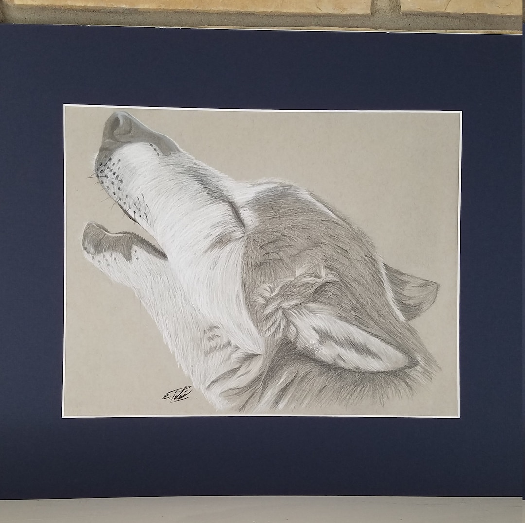 Realistic Original Charcoal Drawing of a Young Wolf Howling ...
