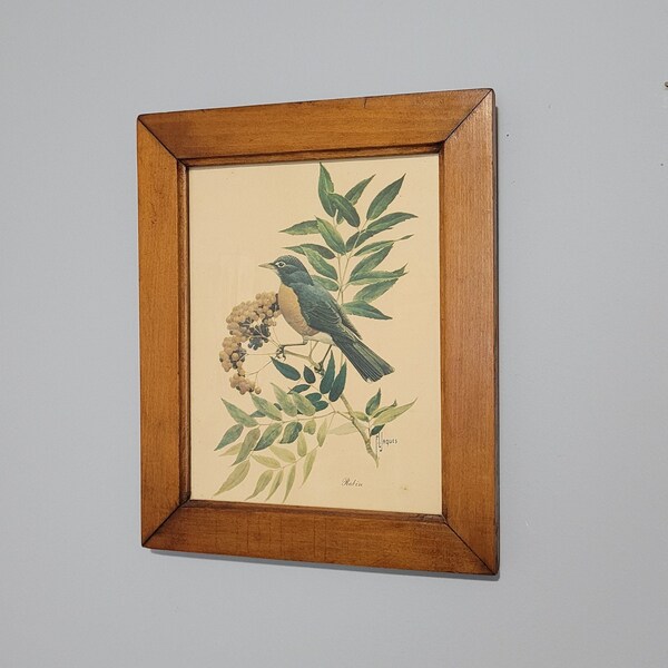 Framed Robin Bird Print - Etsy