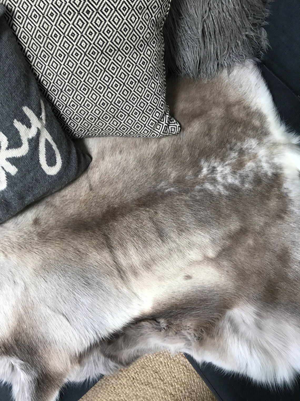 XL Rare Breed Finnish/ Nordic Reindeer Hide Throw Rug Hide - Etsy UK