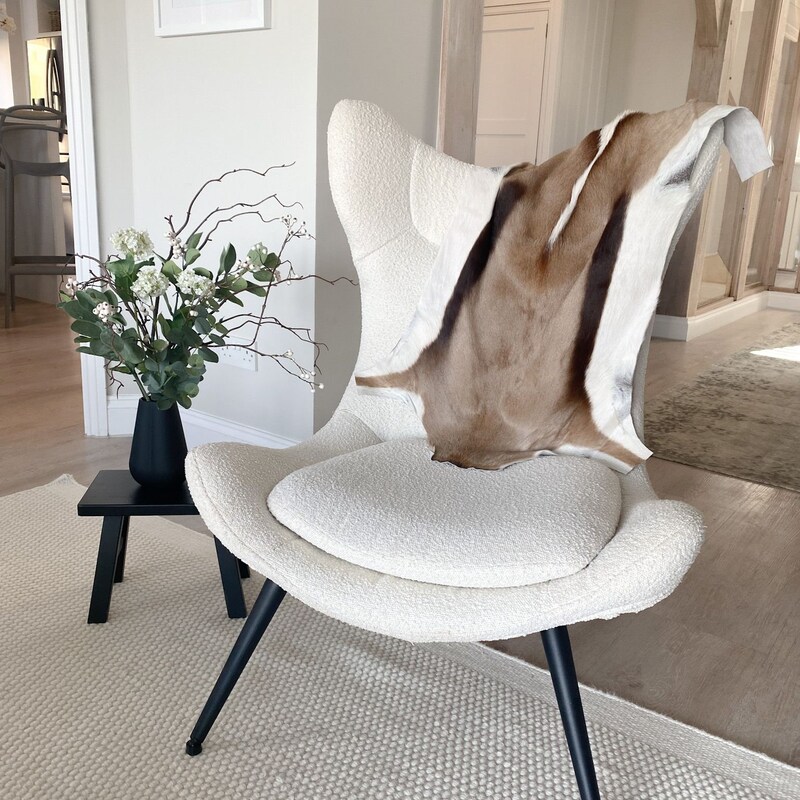 Springbok Hide - Etsy