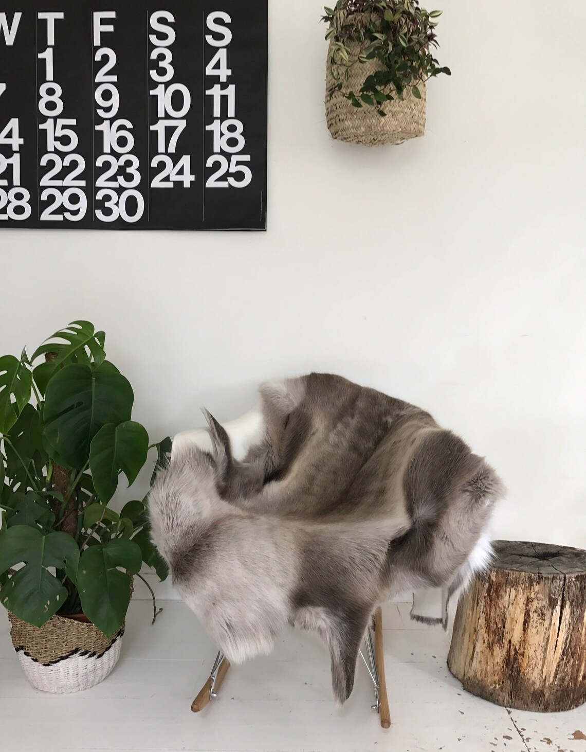 XL Rare Breed Finnish/ Nordic Reindeer Hide Throw Rug Hide - Etsy UK