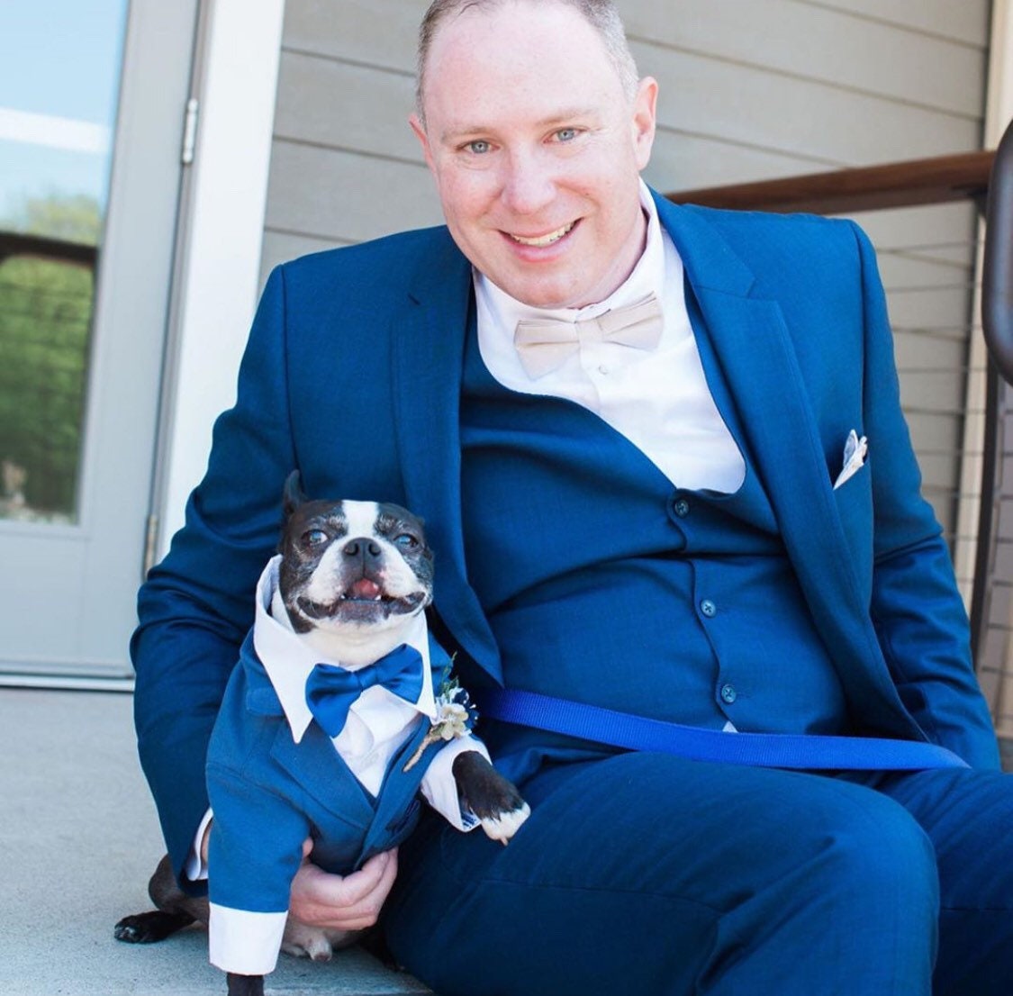 Navy Blue Dog Tuxedo With Bow Tie Dog Wedding Attire Formal - Etsy