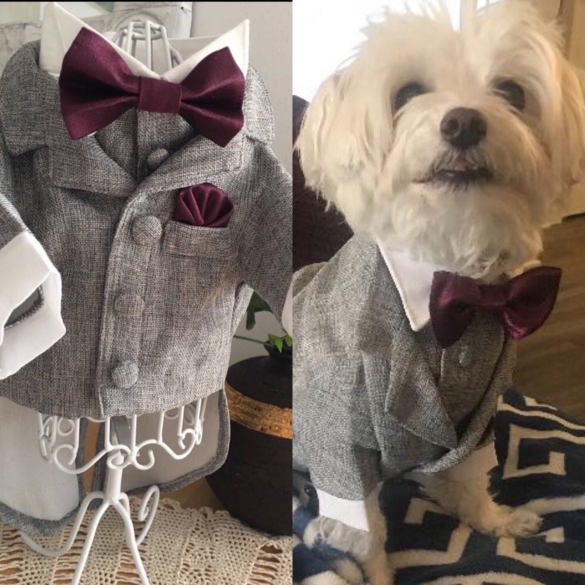 Dog Tuxedo Dog Suit Wedding Dog Tuxedo Dog Wedding Attire | Etsy