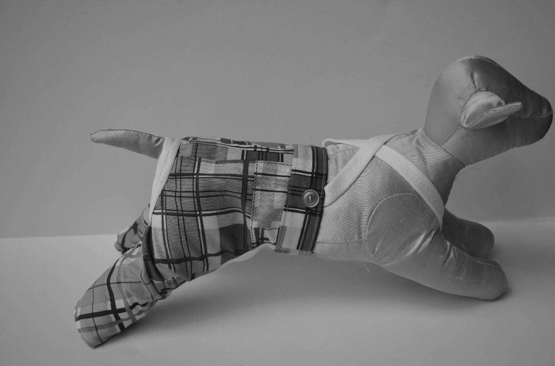 Dog Pants Boy Dog Pants Male Dog Pants Small Dog Pants | Etsy