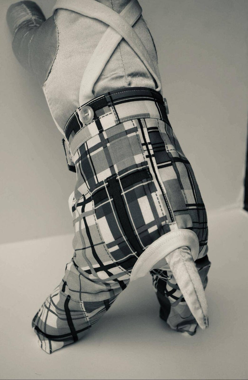 Dog Pants Boy Dog Pants Male Dog Pants Small Dog Pants | Etsy