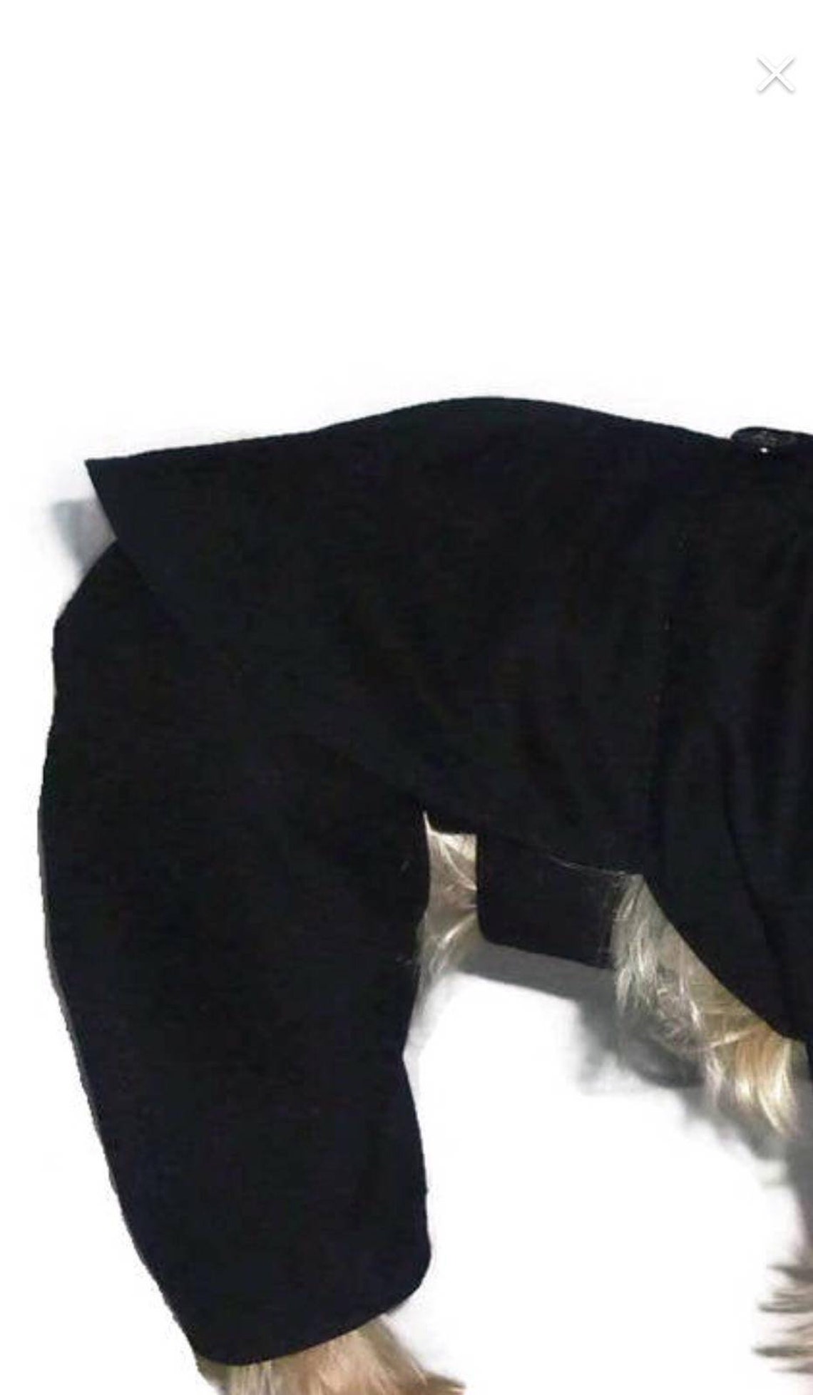 Dog Pants Boy Dog Pants Male Dog Pants Small Dog Pants | Etsy