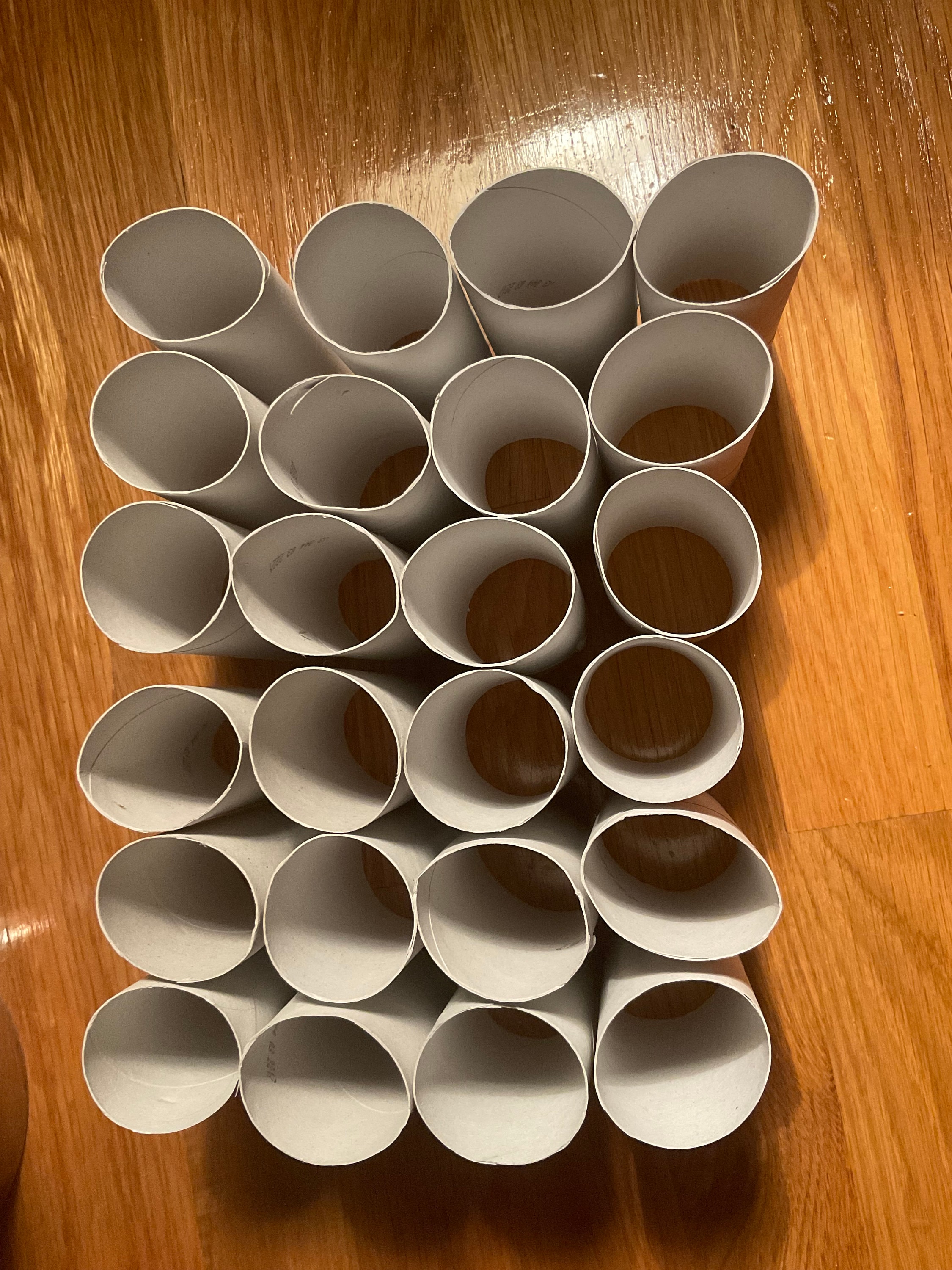 24 White Toilet Paper Rolls - Perfect for Crafts! - Etsy