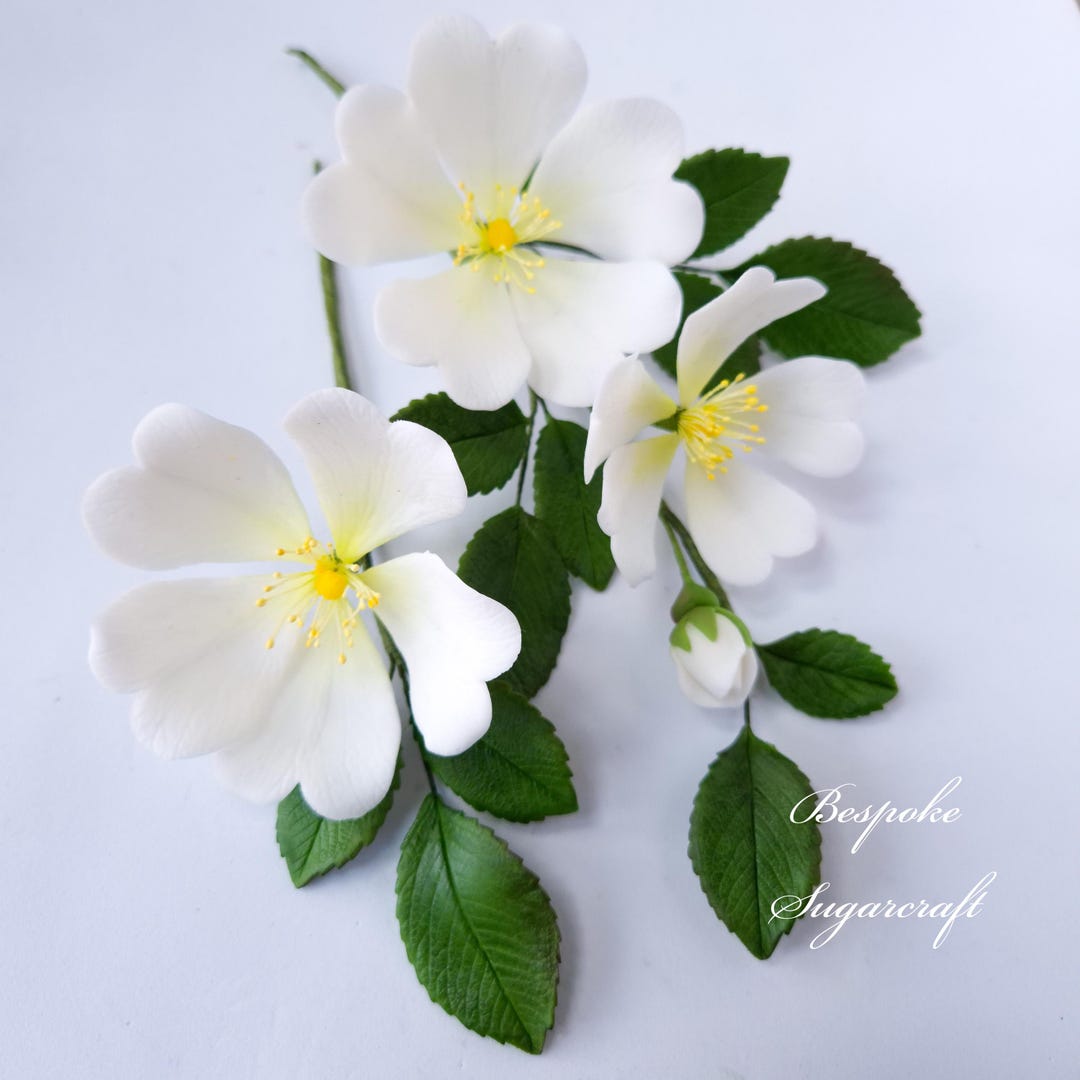 Sugar Craft Wild Dog Rose Spray, Realistic Summer Cake Toppers ...