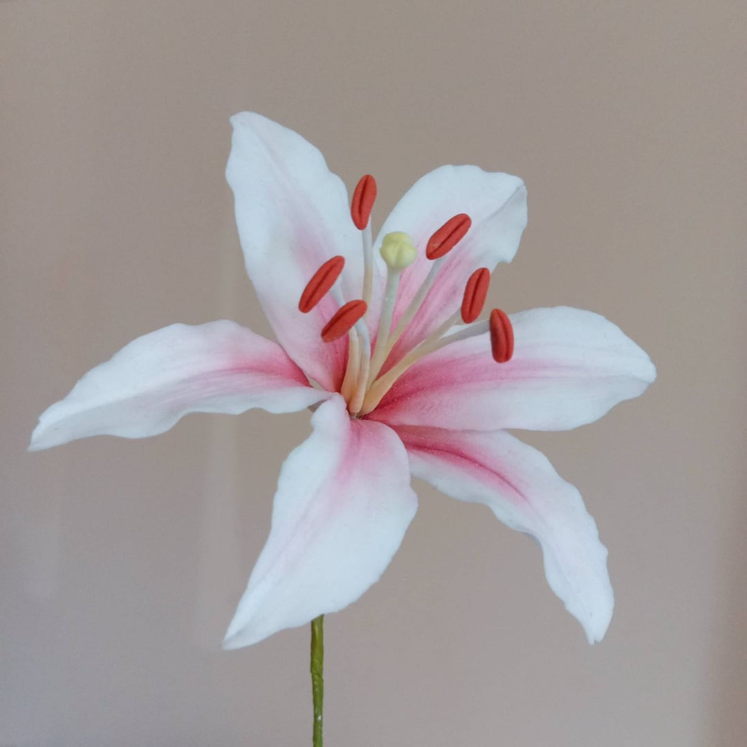 4 Sugar Craft Lily Made to Order Cake Toppers High - Etsy UK