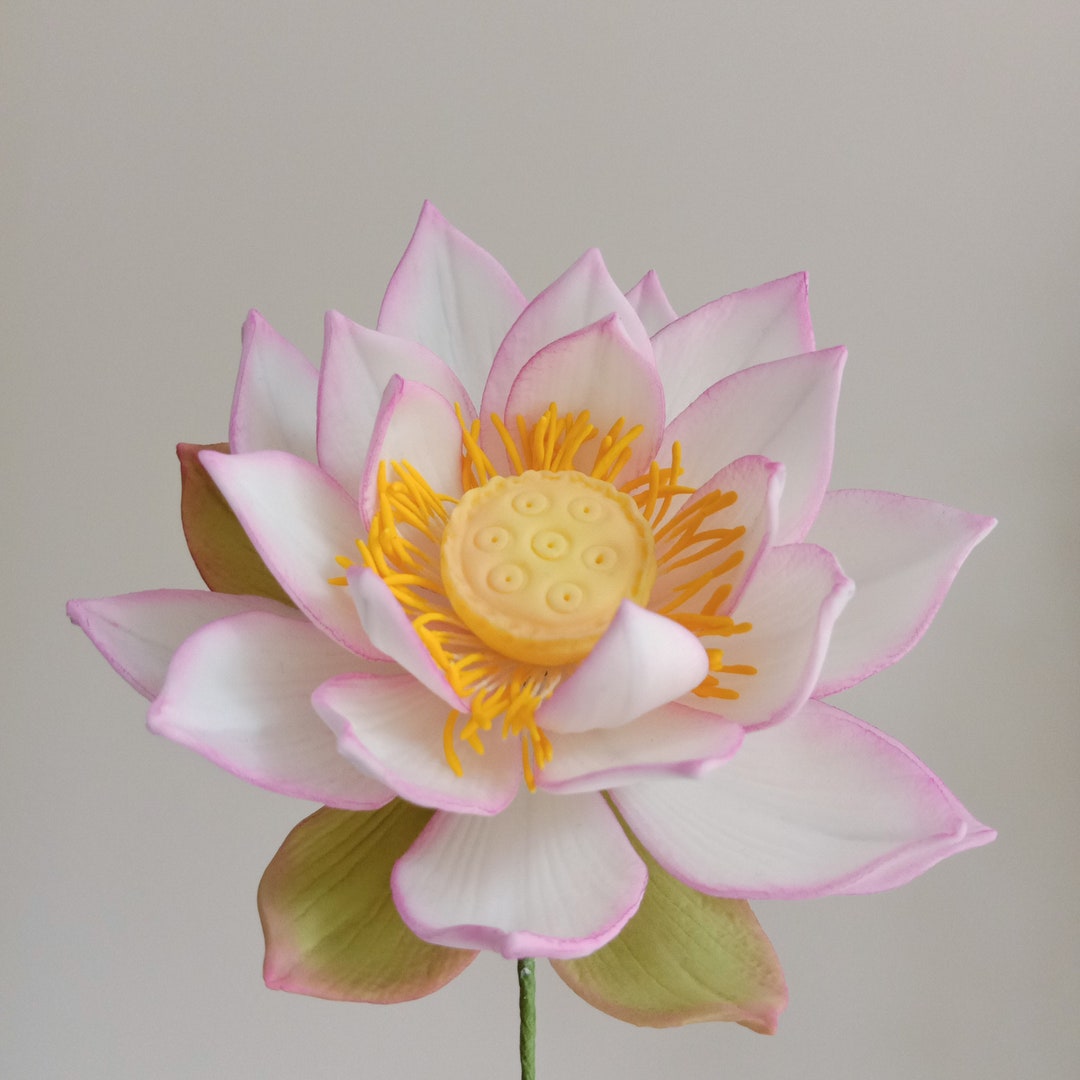Bespoke Sugarcraft - 5" Sugar Lotus - Realistic Sugar Flowers for Cakes ...