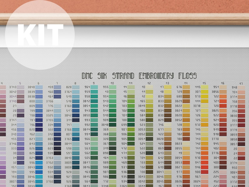 KIT DMC Threaded Color Card Cross Stitch - Etsy