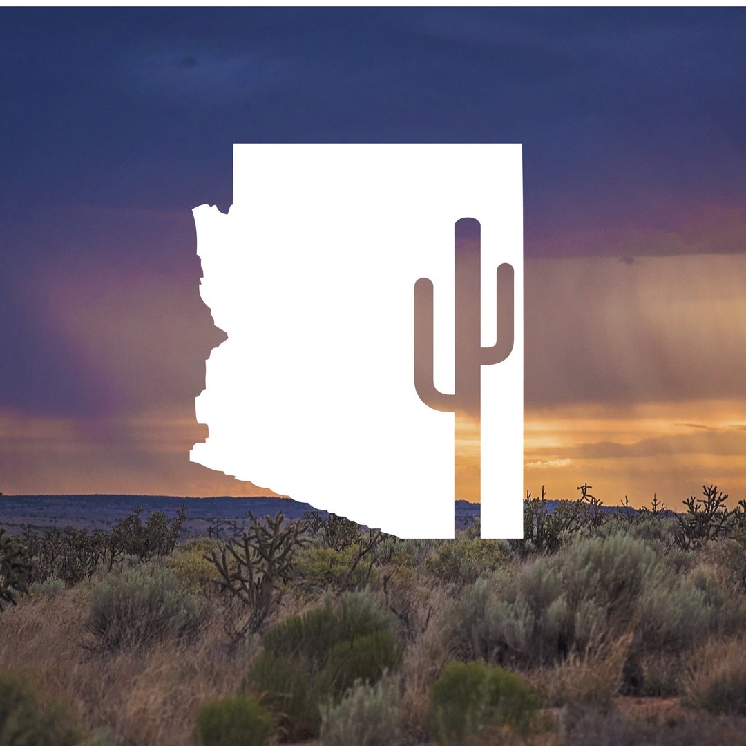 Arizona Cactus Vinyl Car Decal Stocking Stuffer Gift Idea Holiday Gift ...